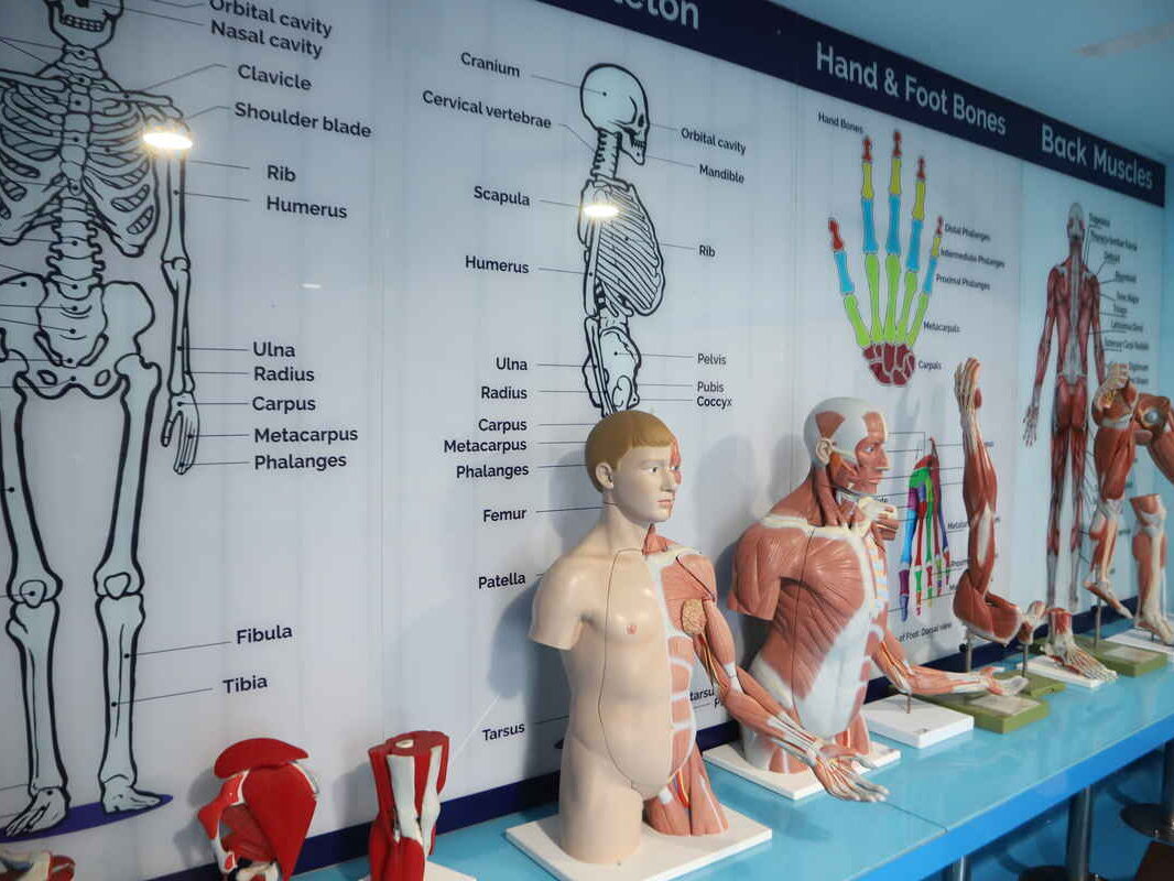Laboratory – Ad-din Akij Medical College